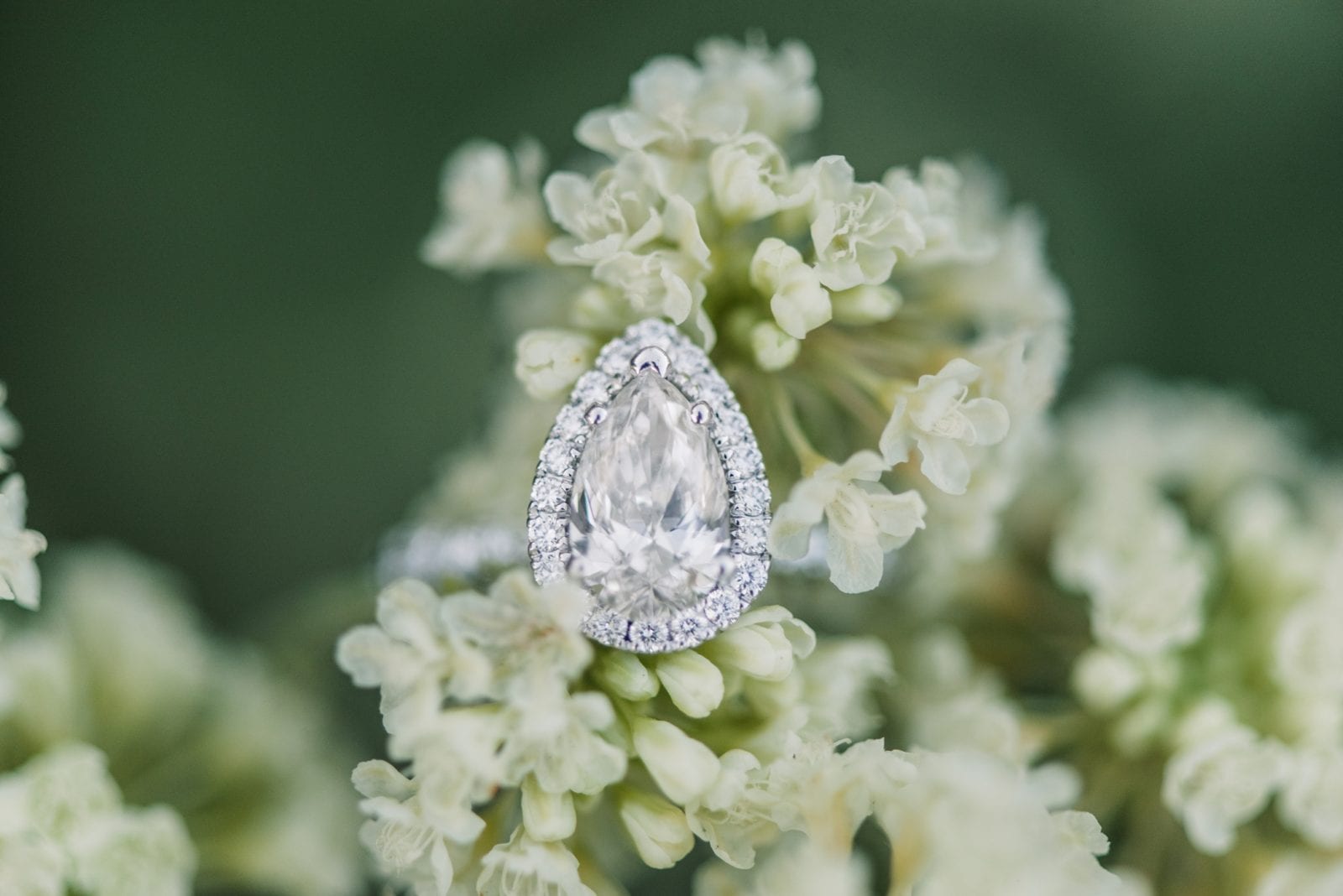 Logan & Abby | Engaged - Michelle & Logan Photo + Films