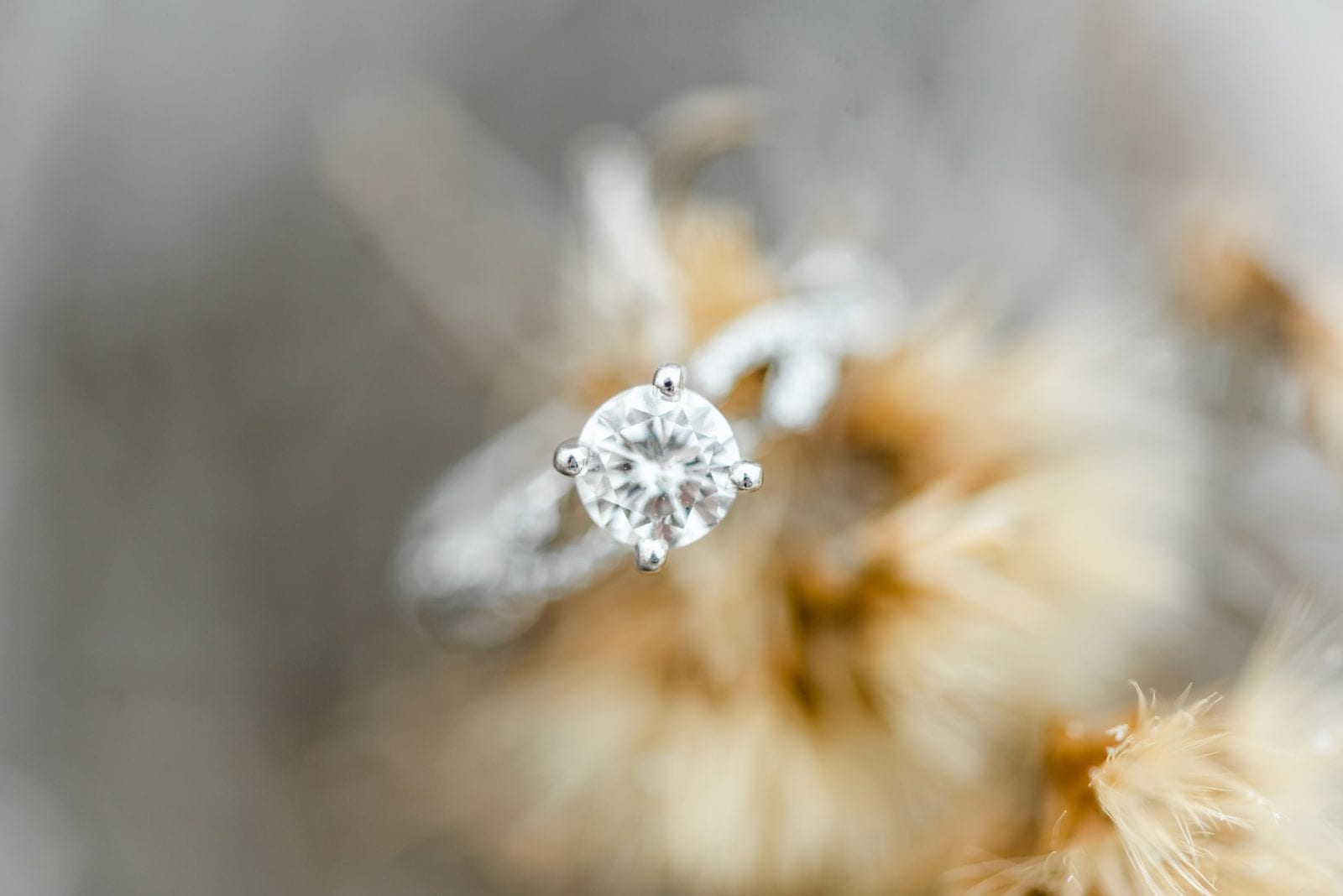 Jordan & Meaghan Winter Engagements - Michelle & Logan Photo + Films