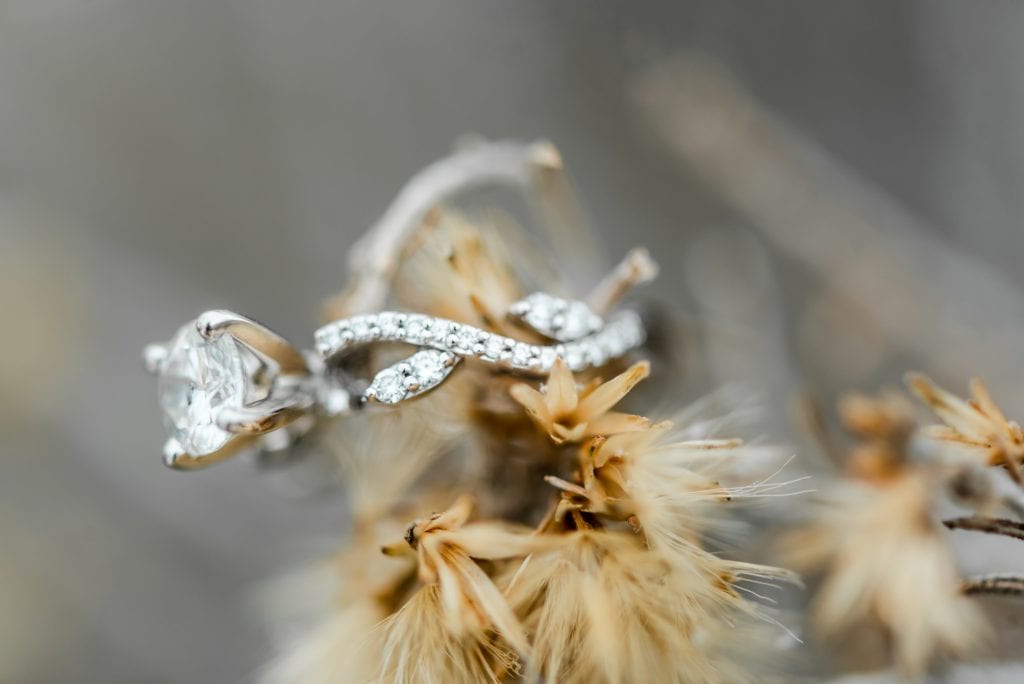 Jordan & Meaghan Winter Engagements - Michelle & Logan Photo + Films