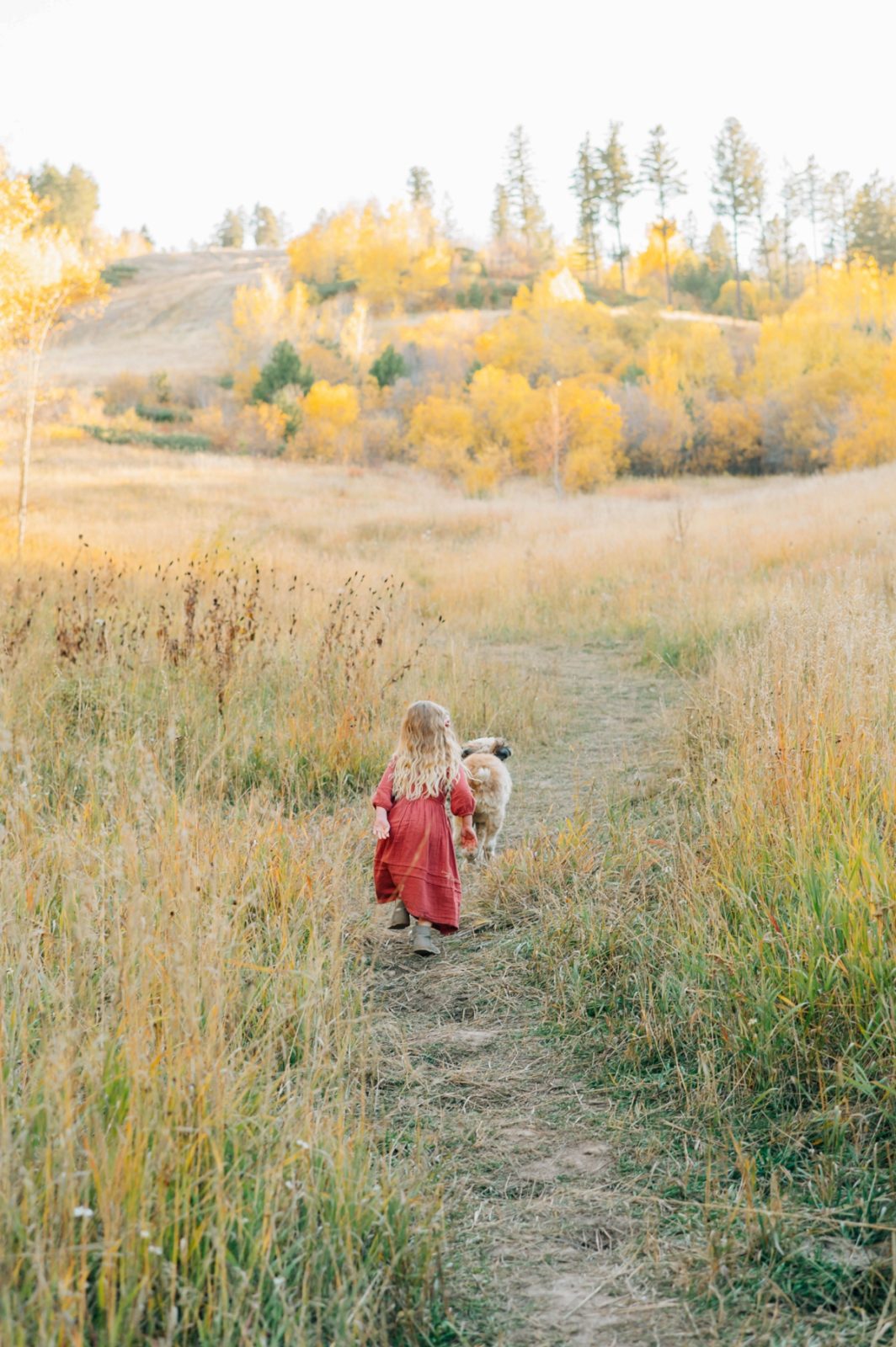 Island Park Family Photography | The Mecham Family