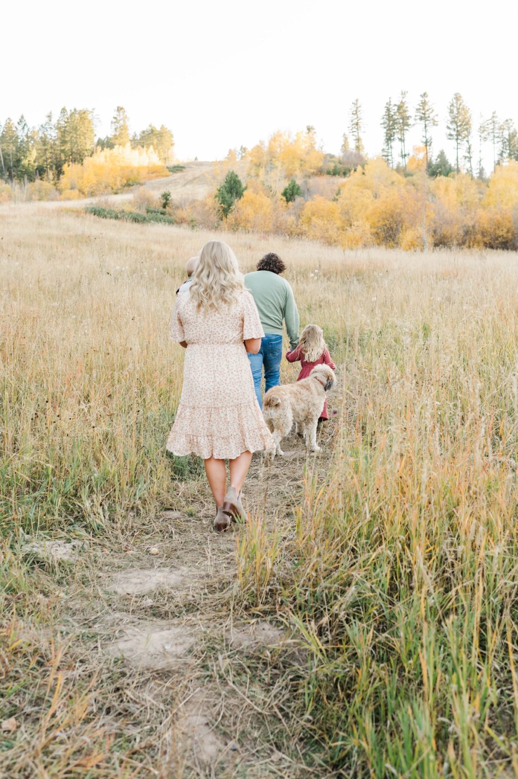 Island Park Family Photography | The Mecham Family